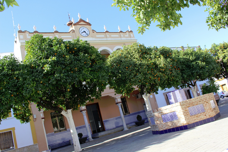 Programa Extraordinario de Ayuda a la Contratación de Andalucía -PEACA-